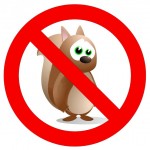 No-Squirrel Zone | My Blog